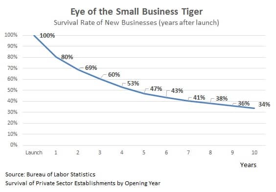 9 Major Reasons Small Businesses Fail? - Finance Quick Fix