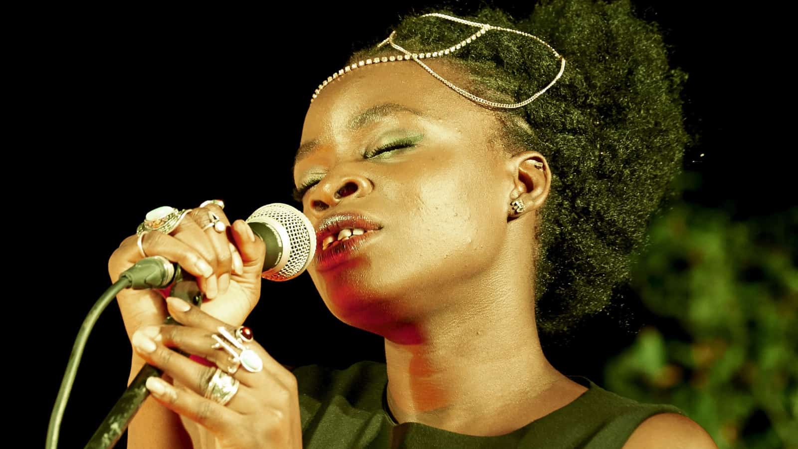 12 of the Greatest Afro-Pop Musicians - Finance Quick Fix